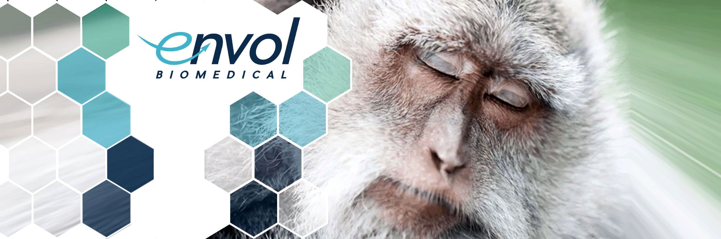 Envol Biomedical Contributes to Landmark Study on Primate Lifespan and ...